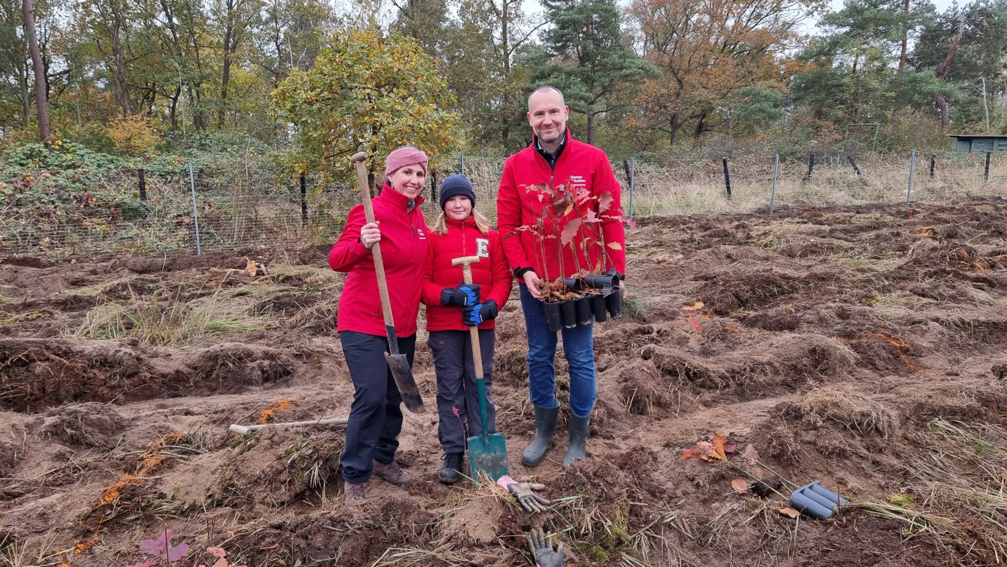 Tree planting campaign - Visit Dessau